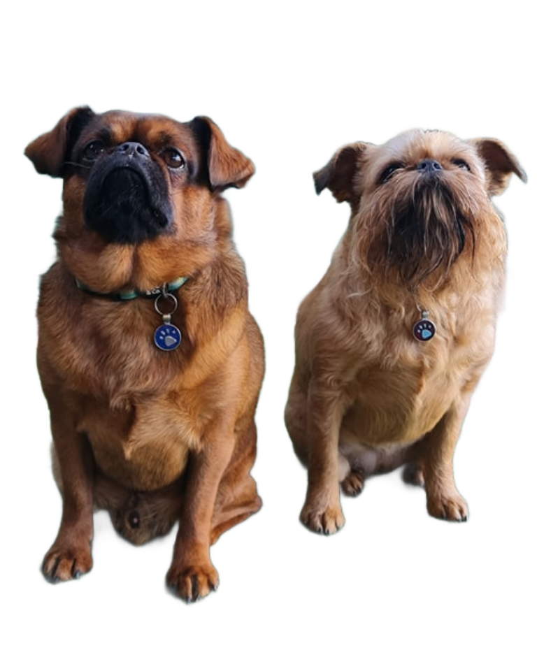 Price List – Around the Clock Dog Care